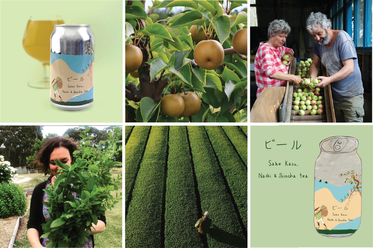 Biru Sake Kasu ~ Nashi pear & Shincha Tea – Sailors Grave Brewing