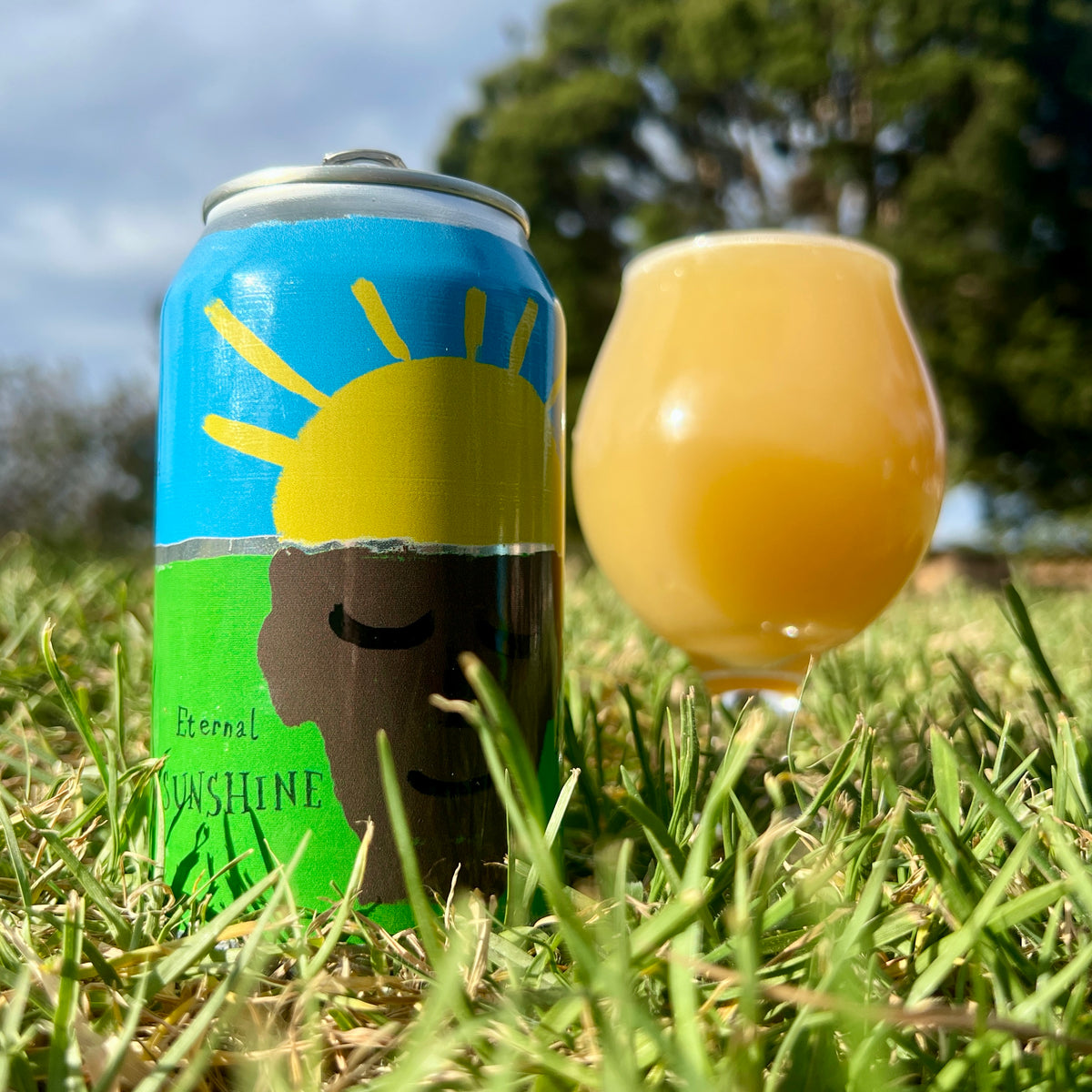 Eternal Sunshine Hazy IPA | Sailors Grave Brewing